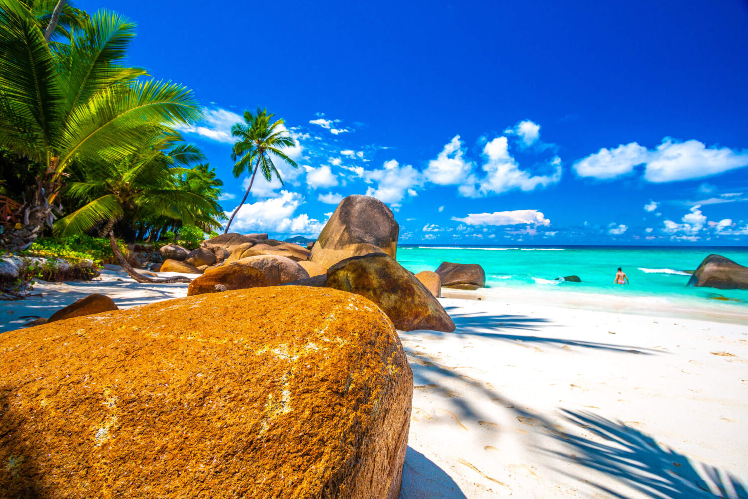 Vakantie Seychellen - Mooiste Rondreizen en Vakanties Seychellen